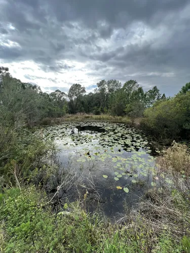 Best Hikes and Trails in Crooked Lake Wildlife and Environmental Area ...