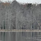 Cash Lake Loop Trail, Maryland - 1,096 Reviews, Map | AllTrails