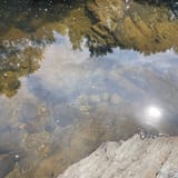 Arm River Track to New Pelion Hut, Tasmania, Australia - 68 Reviews ...