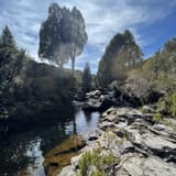 Arm River Track to New Pelion Hut, Tasmania, Australia - 68 Reviews ...