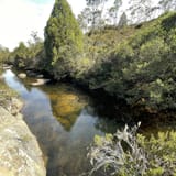 Arm River Track to New Pelion Hut, Tasmania, Australia - 68 Reviews ...