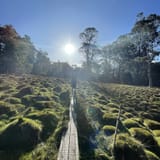 Arm River Track to New Pelion Hut, Tasmania, Australia - 68 Reviews ...