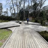 Arm River Track to New Pelion Hut, Tasmania, Australia - 68 Reviews ...
