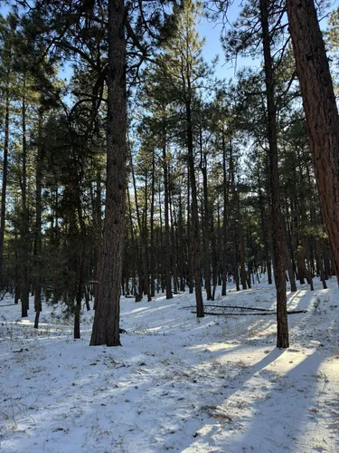 Best Hikes and Trails in Fox Run Regional Park | AllTrails