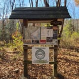 Devil's Racetrack Trail, Tennessee - 579 Reviews, Map | AllTrails
