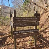 Devil's Racetrack Trail, Tennessee - 579 Reviews, Map | AllTrails