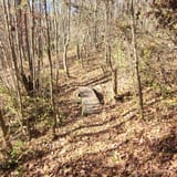 Devil's Racetrack Trail, Tennessee - 579 Reviews, Map | AllTrails