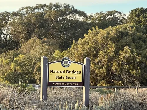 Best Hikes and Trails in Lighthouse Field State Beach | AllTrails