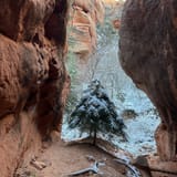 Spring Creek Canyon, Utah - 1,147 Reviews, Map | AllTrails