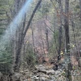 See Spring Trail, Arizona - 641 Reviews, Map | AllTrails