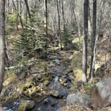 See Spring Trail, Arizona - 641 Reviews, Map | AllTrails