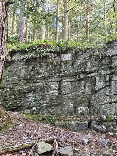 Best Hikes and Trails in Red Rocks Park | AllTrails