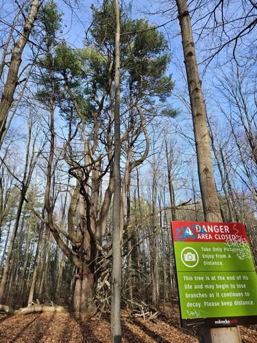 Best Hikes and Trails in Red Rocks Park | AllTrails