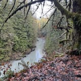 Lime Kiln Trail, Washington - 2,560 Reviews, Map | AllTrails