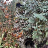 Lime Kiln Trail, Washington - 2,560 Reviews, Map | AllTrails