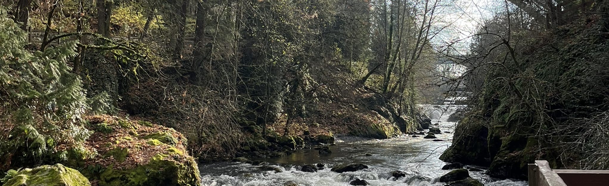 Tumwater Falls Trail, Washington - 832 Reviews, Map | AllTrails