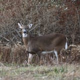 Sachuest Point National Wildlife Refuge Trail, Rhode Island - 1,651 ...