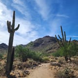 Black Rock Loop Trail, Arizona - 678 Reviews, Map | AllTrails