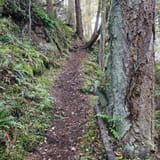 Lighthouse Point and Lottie Point via Rosario Head Trail, Washington ...