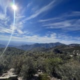 Box Spring via Box Camp Trail, Arizona - 519 Reviews, Map | AllTrails