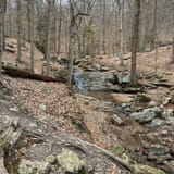 Cascade Falls Loop Trail , Maryland - 2,756 Reviews, Map | AllTrails