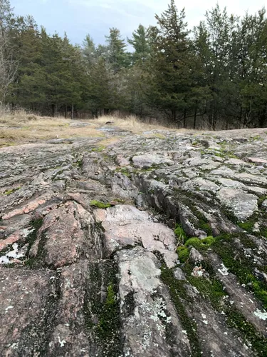 Best Hikes and Trails in Murphy's Point Provincial Park | AllTrails