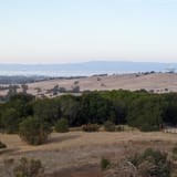 Redtail Loop to Arastradero Creek Loop, California - 1,857 Reviews, Map ...