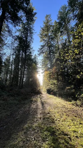 Best Hikes and Trails in Banner Forest Heritage Park | AllTrails