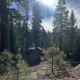 Viola Falls, California - 371 Reviews, Map | AllTrails