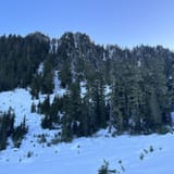 Anderson Lake and Watson Lake, Washington - 451 Reviews, Map | AllTrails