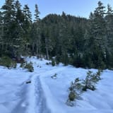 Anderson Lake and Watson Lake, Washington - 447 Reviews, Map | AllTrails
