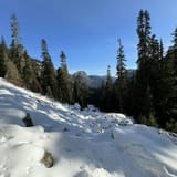 Snow Lake Trail, Washington - 11,124 Reviews, Map | AllTrails