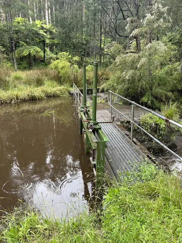 Best Backpacking Trails in Bunyip State Park | AllTrails