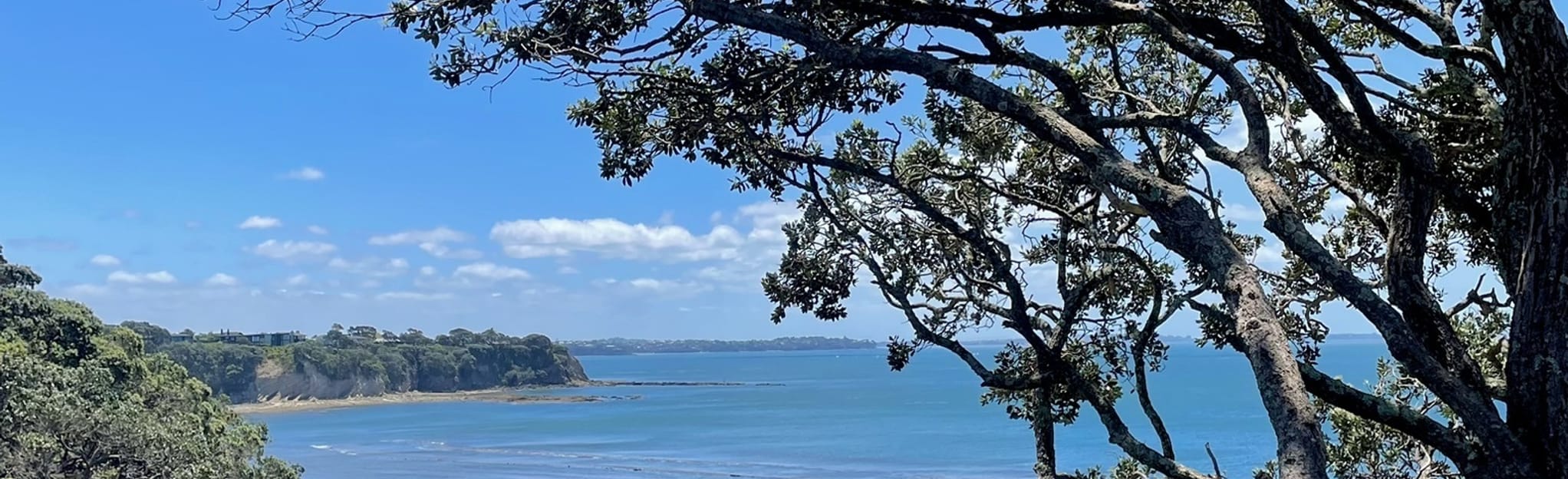 Castor Bay to Campbell's Bay, Auckland, New Zealand - 57 Reviews, Map ...