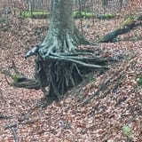 Echo River Spring and Sinkhole Loop, Kentucky - 742 Reviews, Map ...