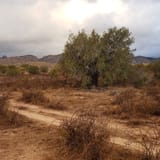 Arizona Trail: Passage 10 - Redington Pass, Arizona - 50 Reviews, Map ...