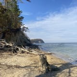 Calvert Cliffs Red Trail , Maryland - 1,484 Reviews, Map | AllTrails
