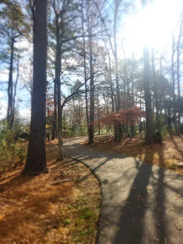 Best Hikes and Trails in Rabbit Hill Park | AllTrails