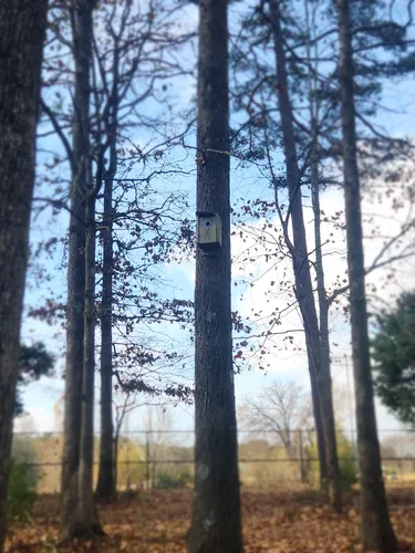 Best Hikes and Trails in Rabbit Hill Park | AllTrails