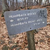 Humpback Rocks Recreation Area, Virginia - 2,325 Reviews, Map | AllTrails
