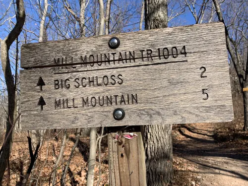 Best Hikes and Trails in Wolf Gap Recreation Area | AllTrails