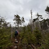 Pennant Point Trail, Nova Scotia, Canada - 604 Reviews, Map | AllTrails