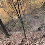 Sharps Ridge Loop Trail, Tennessee - 921 Reviews, Map | AllTrails
