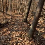 Sharps Ridge Loop Trail, Tennessee - 921 Reviews, Map | AllTrails