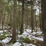 Mount Ascutney via Weathersfield Trail, Vermont - 1,318 Reviews, Map ...