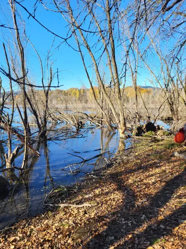Best Hikes and Trails in Oaks Bottom Wildlife Refuge | AllTrails