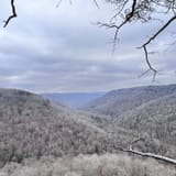 Fiery Gizzard Loop, Tennessee - 1,102 Reviews, Map | AllTrails