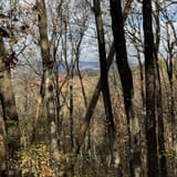 Stringers Ridge via Blue Trail, Tennessee - 1,787 Reviews, Map | AllTrails