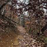 Stringers Ridge via Blue Trail, Tennessee - 1,787 Reviews, Map | AllTrails