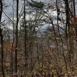 Stringers Ridge via Blue Trail, Tennessee - 1,820 Reviews, Map | AllTrails